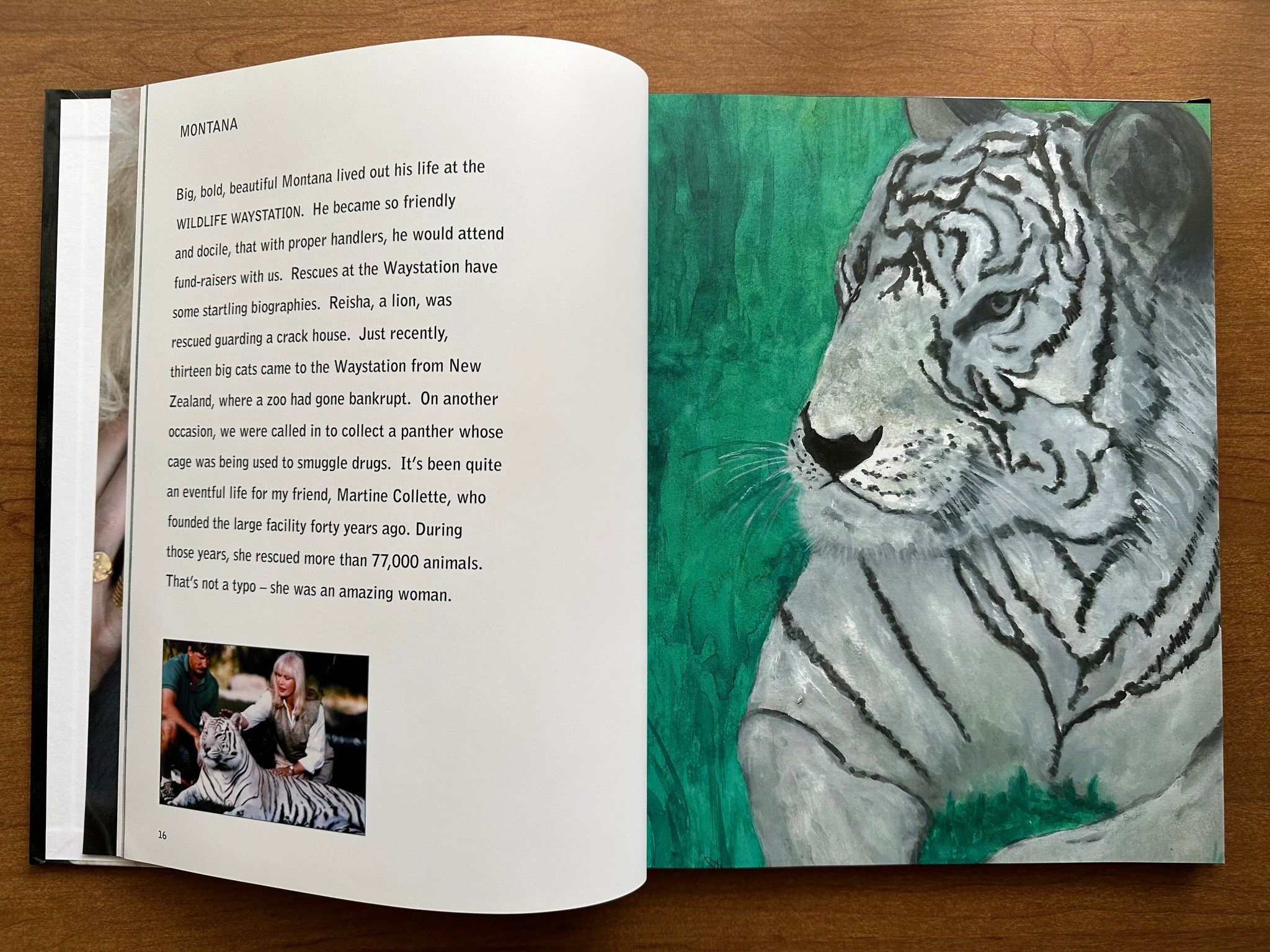 From the M*A*S*H Library 23: “Switheart” (2nd Edition) – The M*A*S*H ...